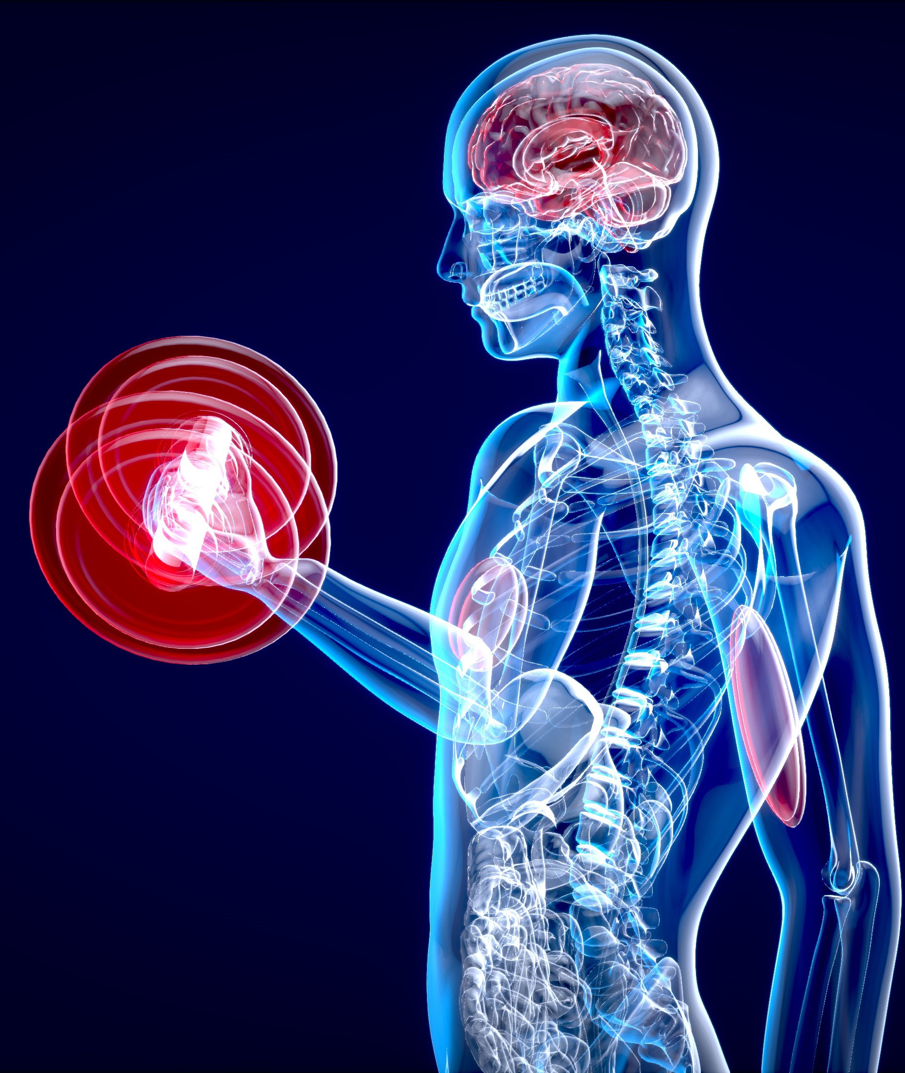 Pain Biology – PROPA LAB